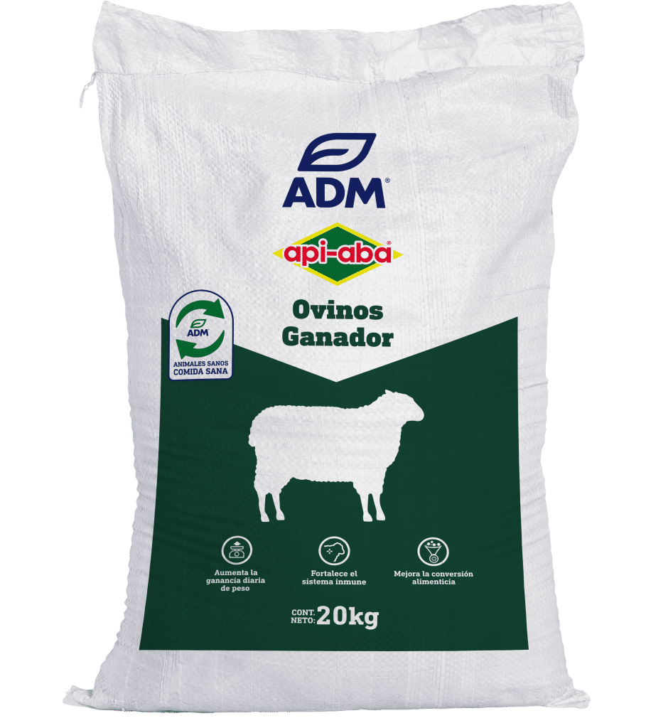 BORREGO GANADOR - ADM Nutricion Animal