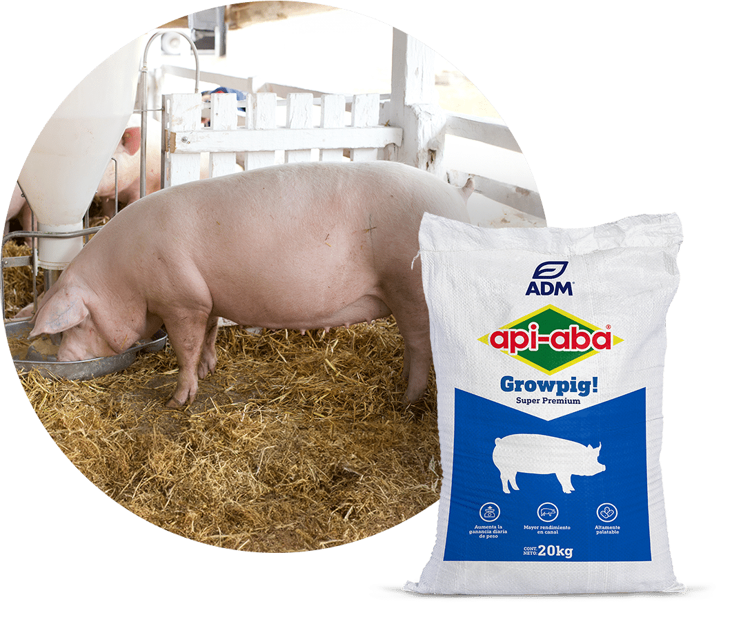 ADM Nutrición Animal: Alimentación de Animales en México